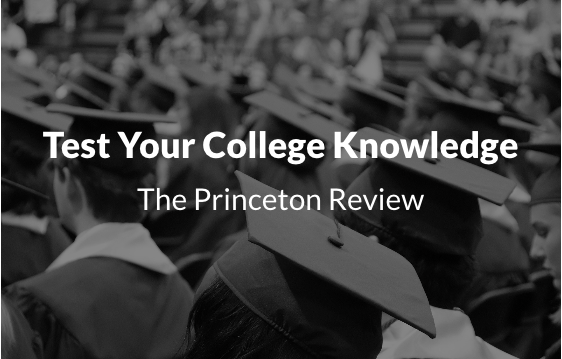 Highly Questionable Ideas For Learning & Development